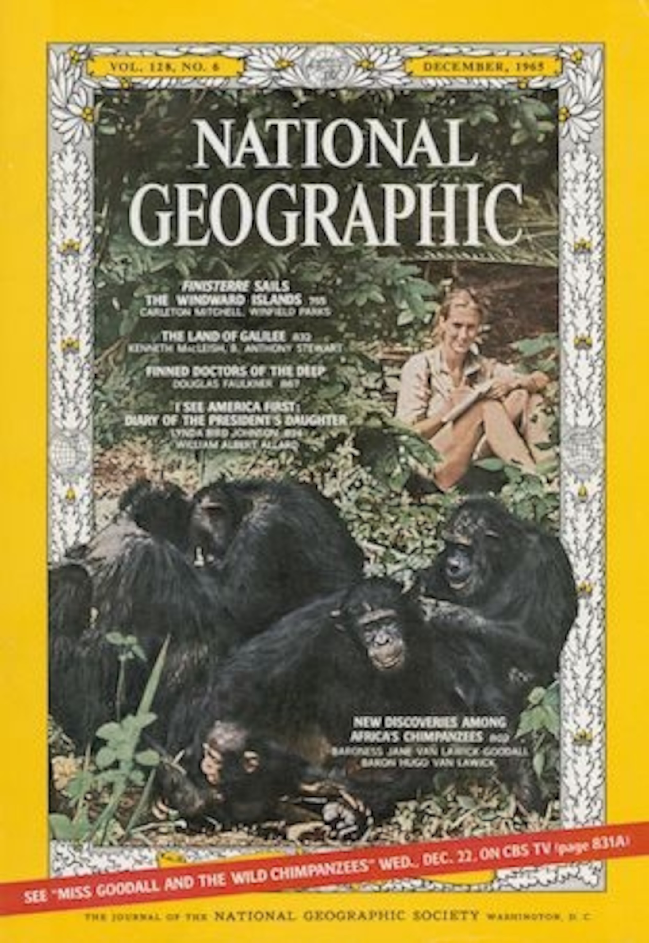 Jane Goodall championed animal conservation for six decades | National Geographic